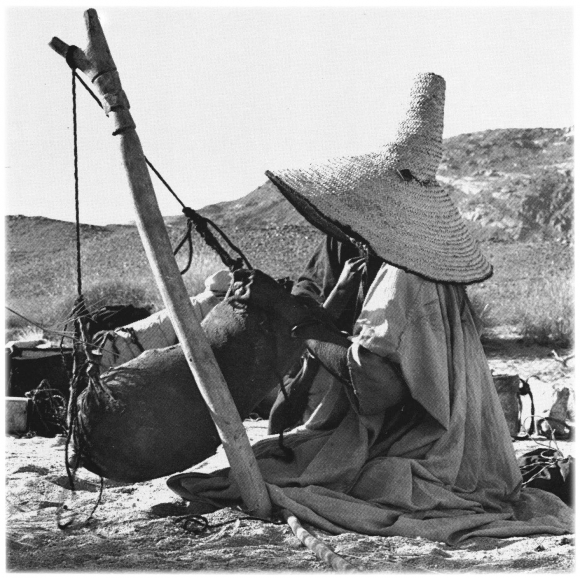 Barattages #1 | The Swedish Parrot